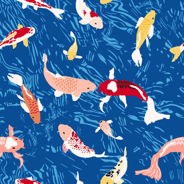 Koi Pond in Blue Water Removable Wallpaper