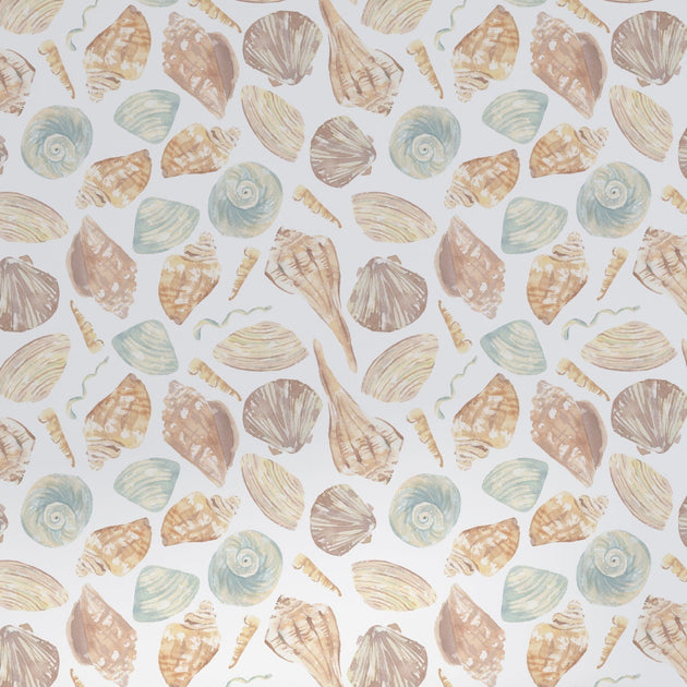 Sea Shells Peel and Stick Wallpaper