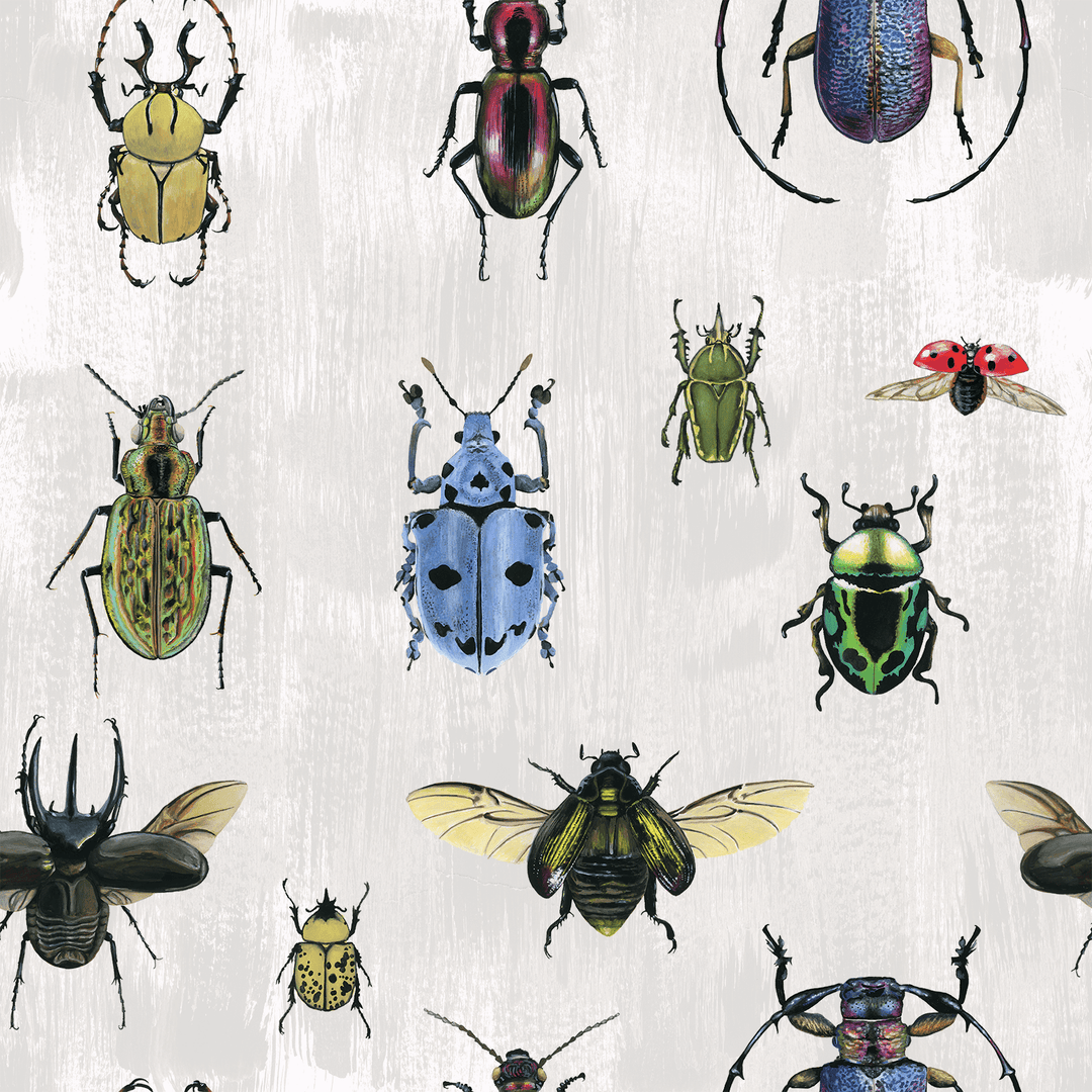 Insect Beetle Interiorwallpaper