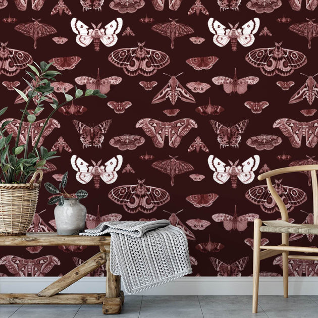 Moth Museum in Chestnut Peel and Stick Wallpaper