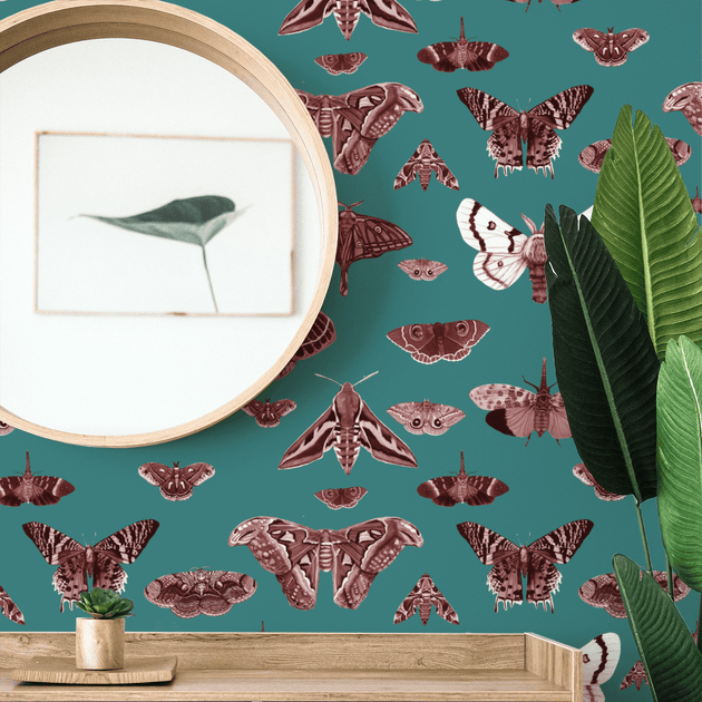 Moth Museum in Teal Peel and Stick Wallpaper